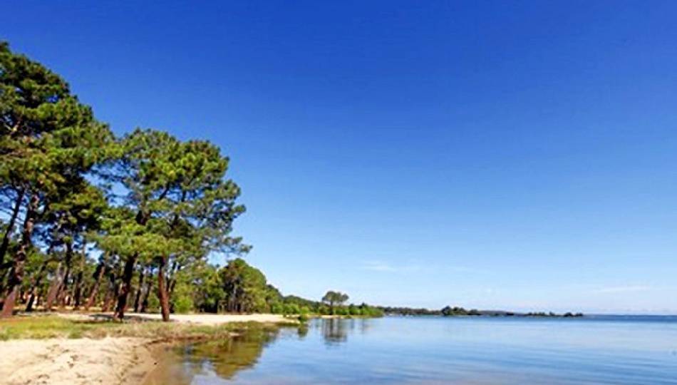 Ludeo Paysage Landas paysagiste, aménagement et entretien de jardin