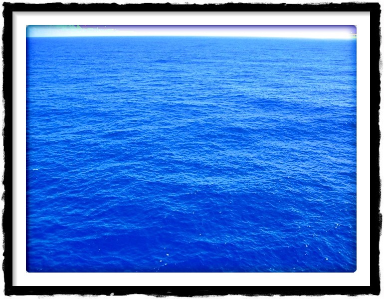 Fourcet Frédéric Azur paysagiste, aménagement et entretien de jardin