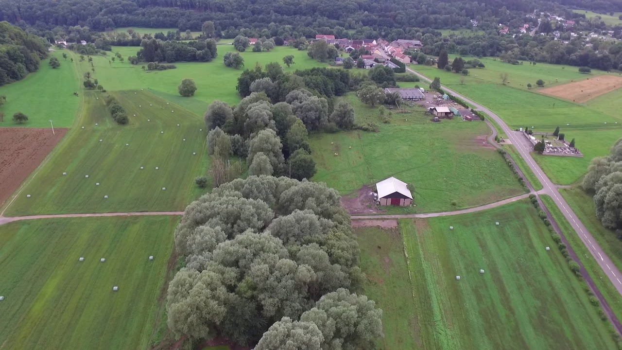 Gaertner Jean Marie Schweyen paysagiste, aménagement et entretien de jardin